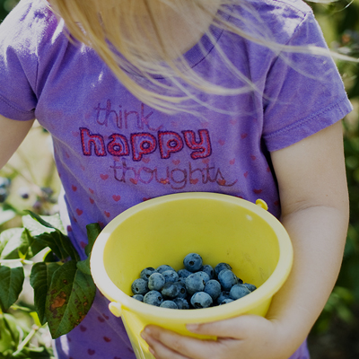 Home - Butler's Orchard
